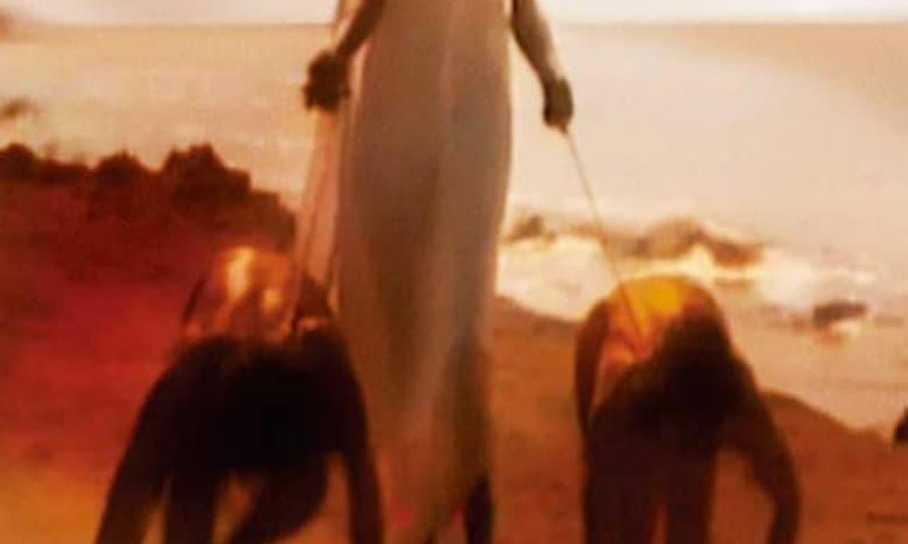 Macumba Sexual - Where to Watch and Stream Online – Entertainment.ie