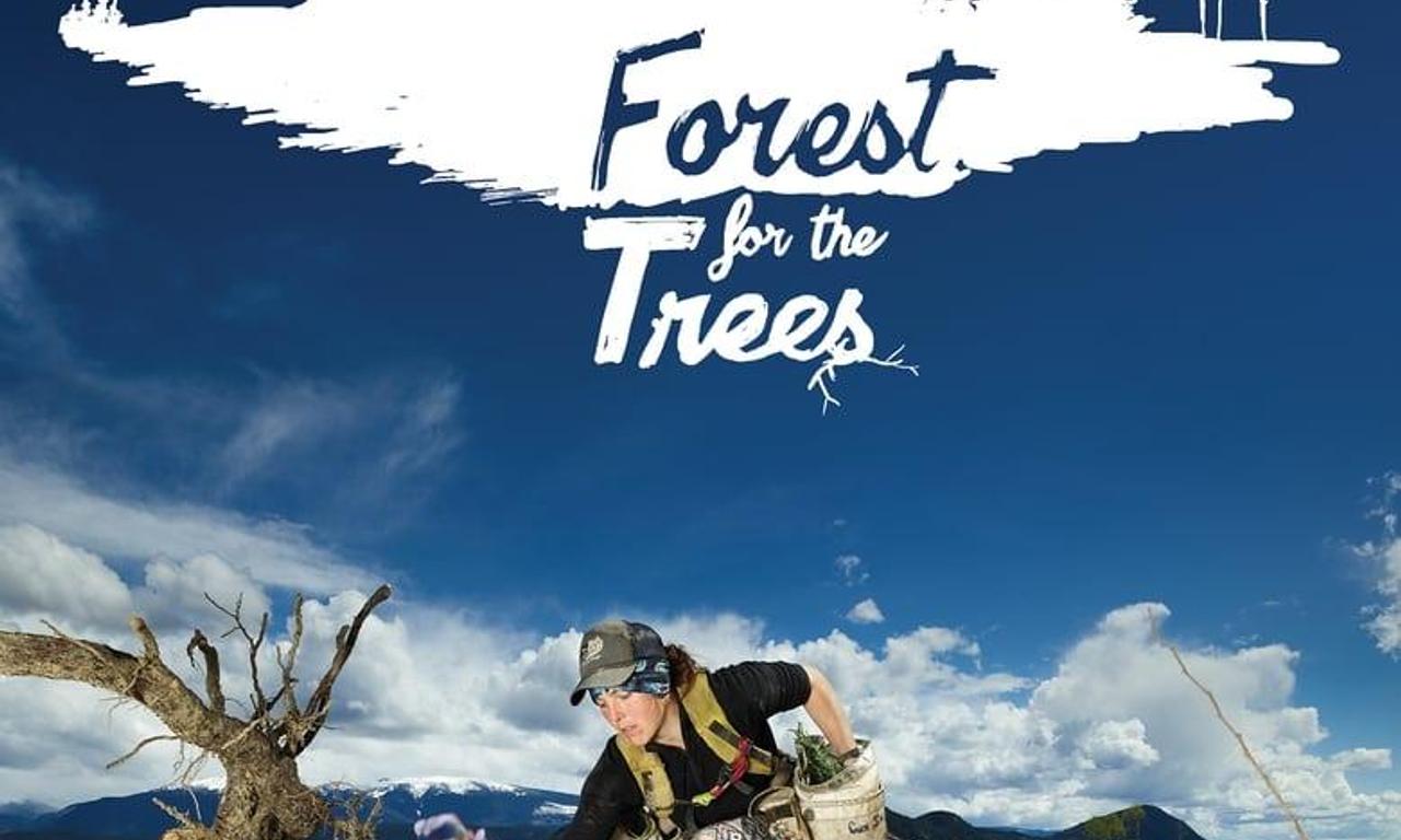 Forest for the Trees - Where to Watch and Stream Online – Entertainment.ie