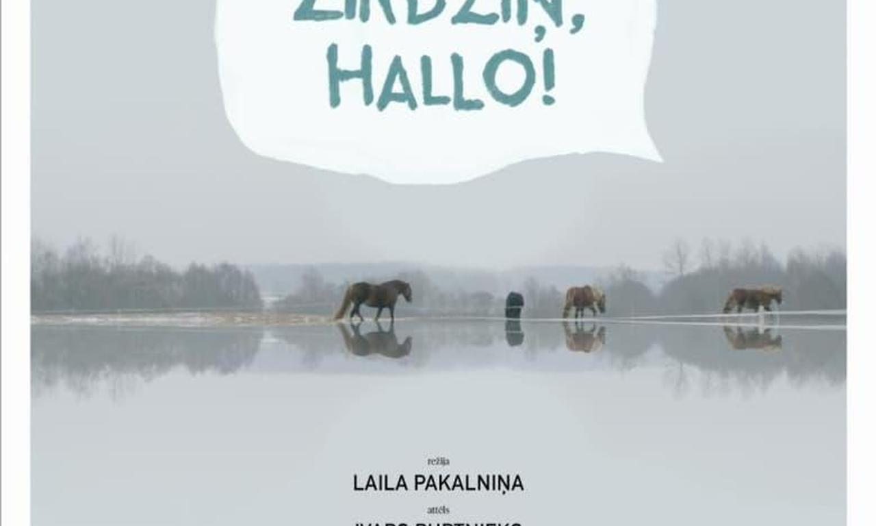 Hello, Horse! - Where to Watch and Stream Online – Entertainment.ie