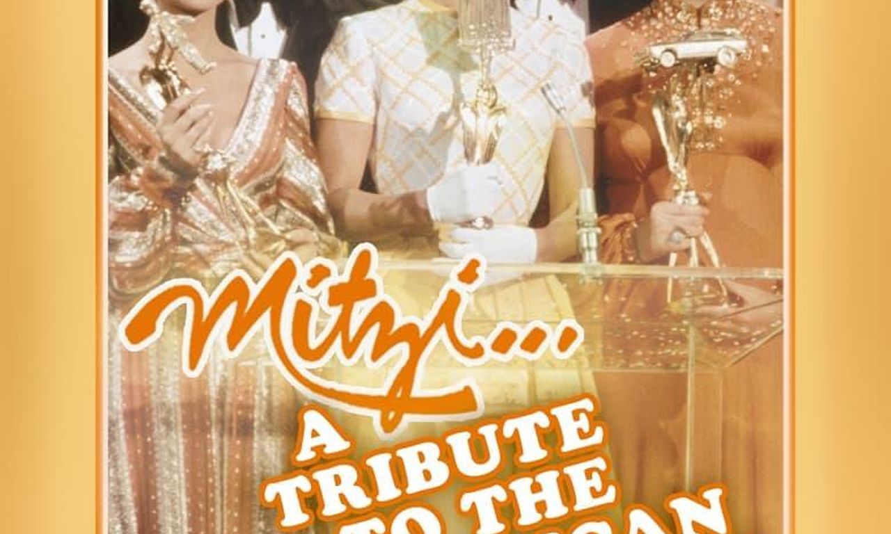 Mitzi... A Tribute to the American Housewife - Where to Watch and ...