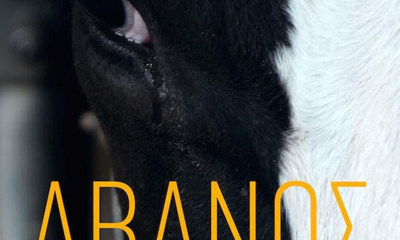 Avanos - Where to Watch and Stream Online – Entertainment.ie