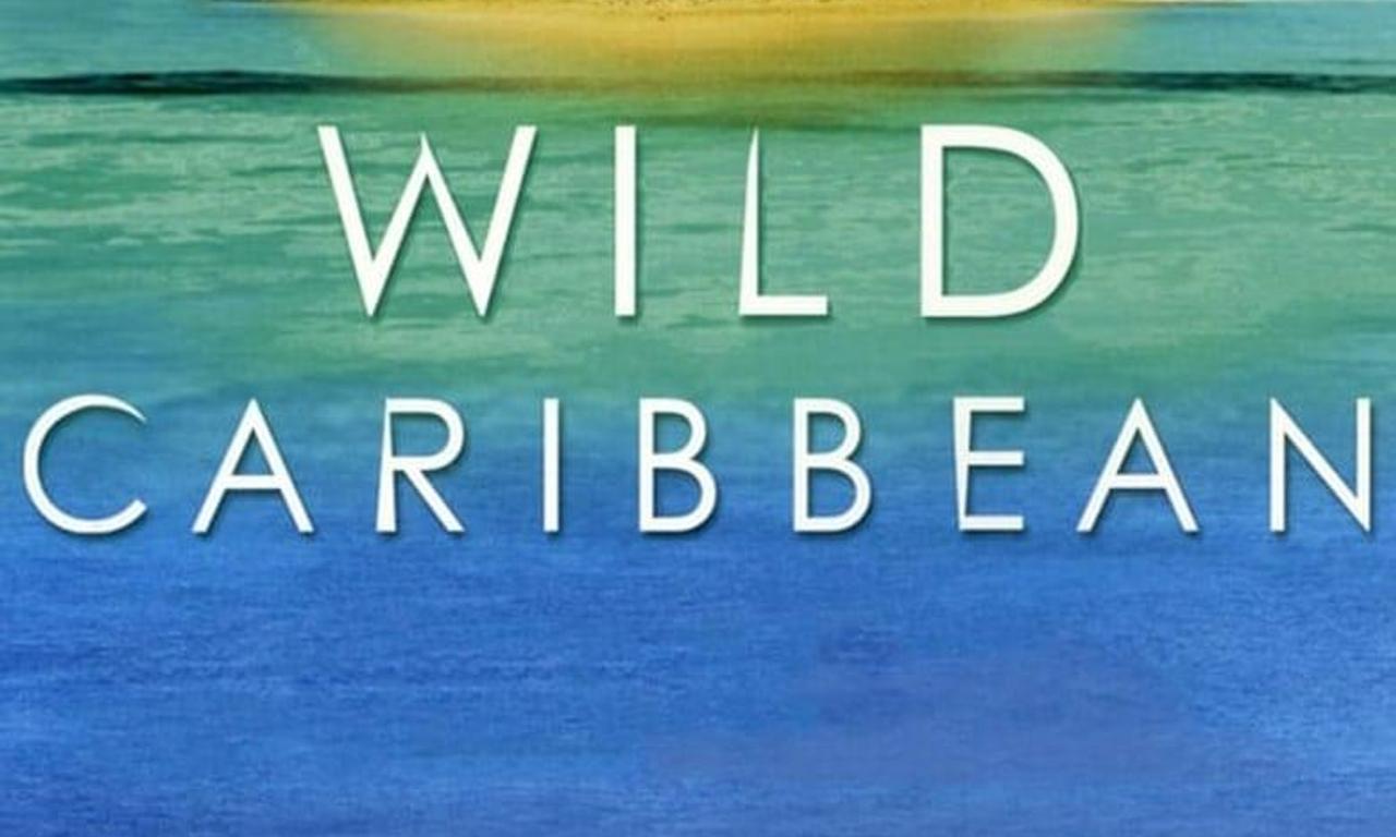 Wild Caribbean - Where to Watch and Stream Online – Entertainment.ie