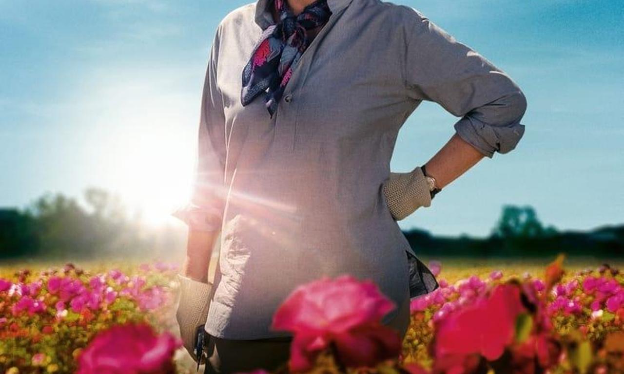 The Rose Maker - Where to Watch and Stream Online – Entertainment.ie