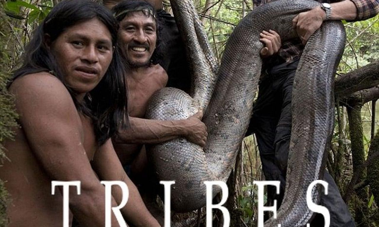Tribes, Predators, and Me - Where to Watch and Stream Online ...