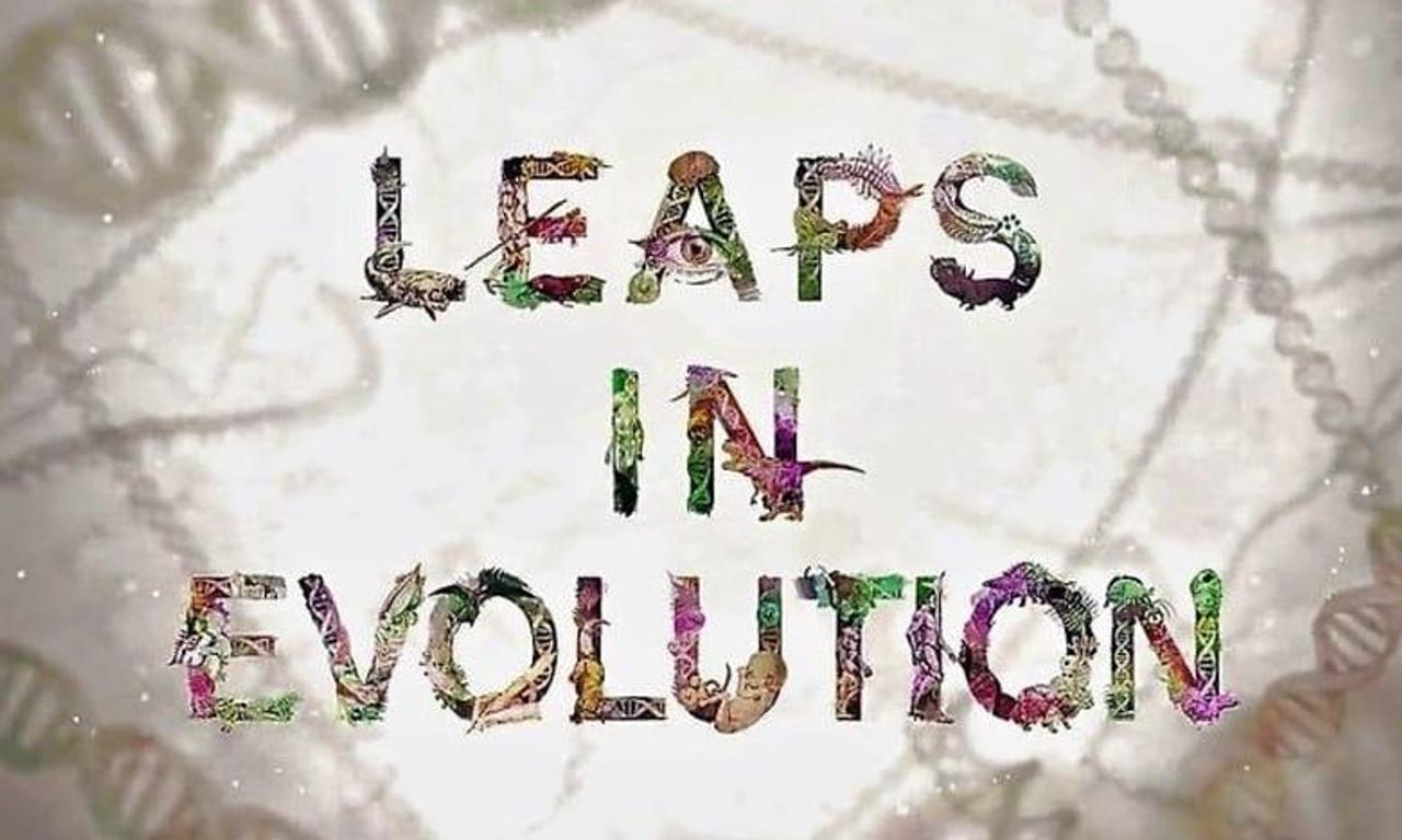 Leaps In Evolution - Where to Watch and Stream Online – Entertainment.ie