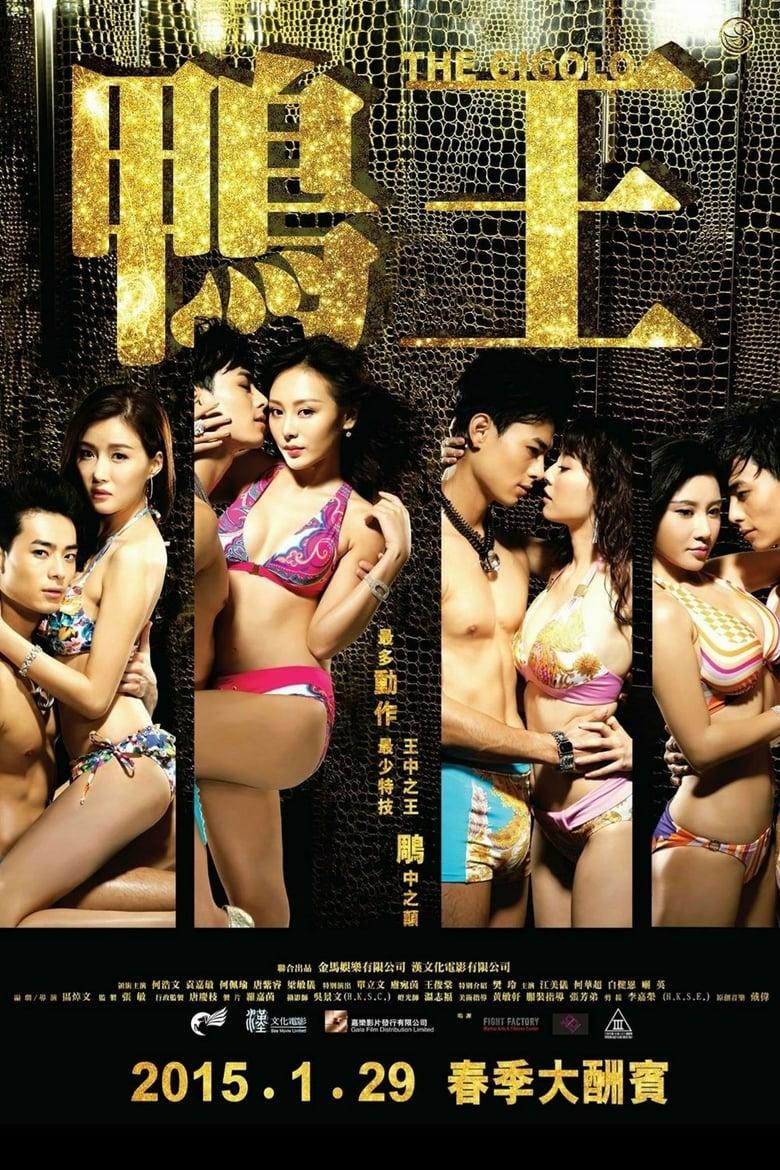 The Gigolo 2015 Where to Watch and Stream Online Entertainment.ie