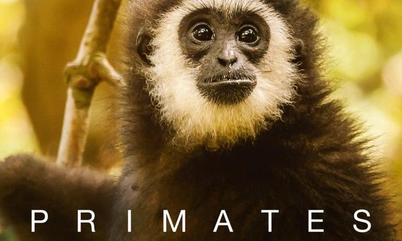 Primates - Where to Watch and Stream Online – Entertainment.ie