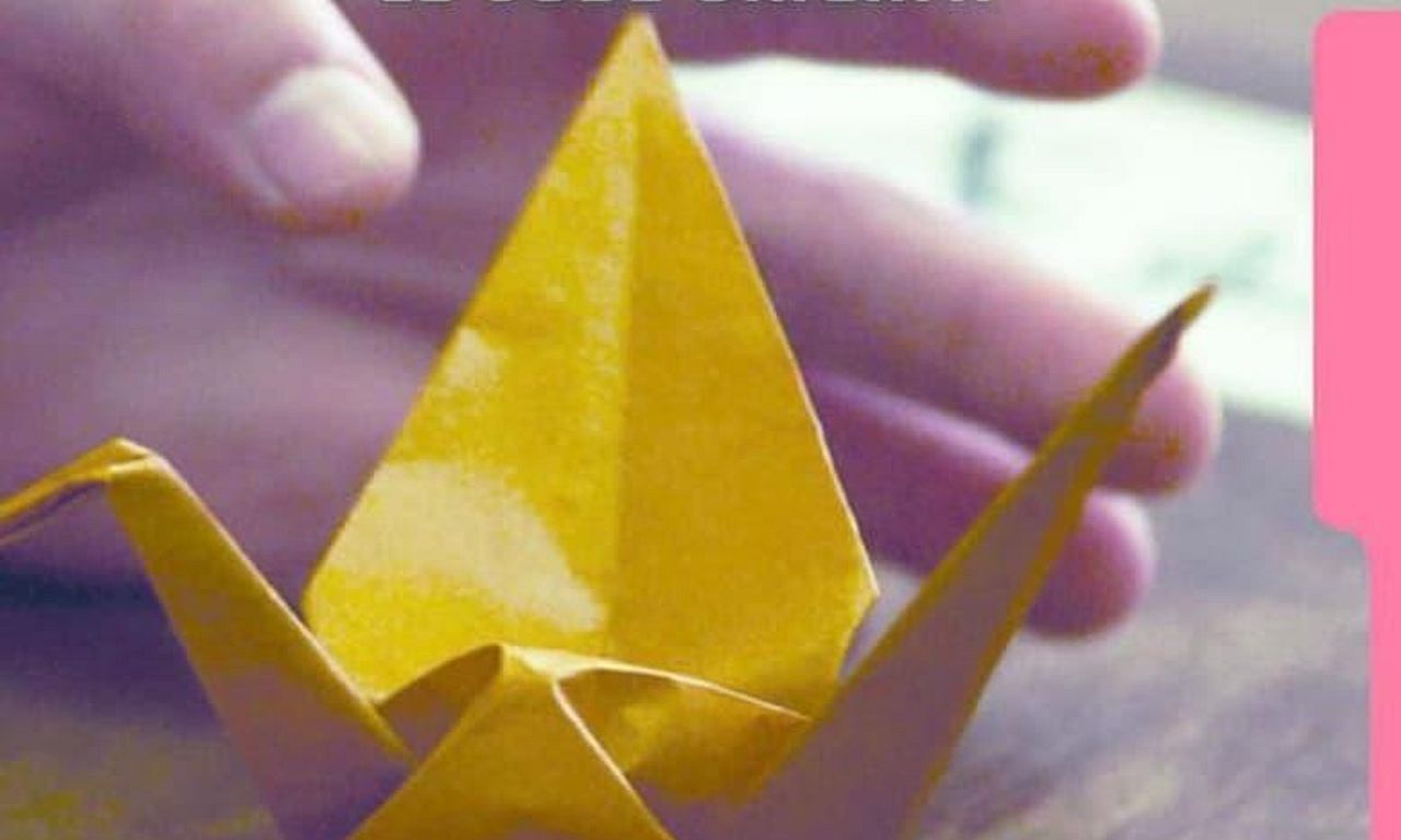 Un monde en plis, le code origami - Where to Watch and Stream Online – Entertainment.ie
