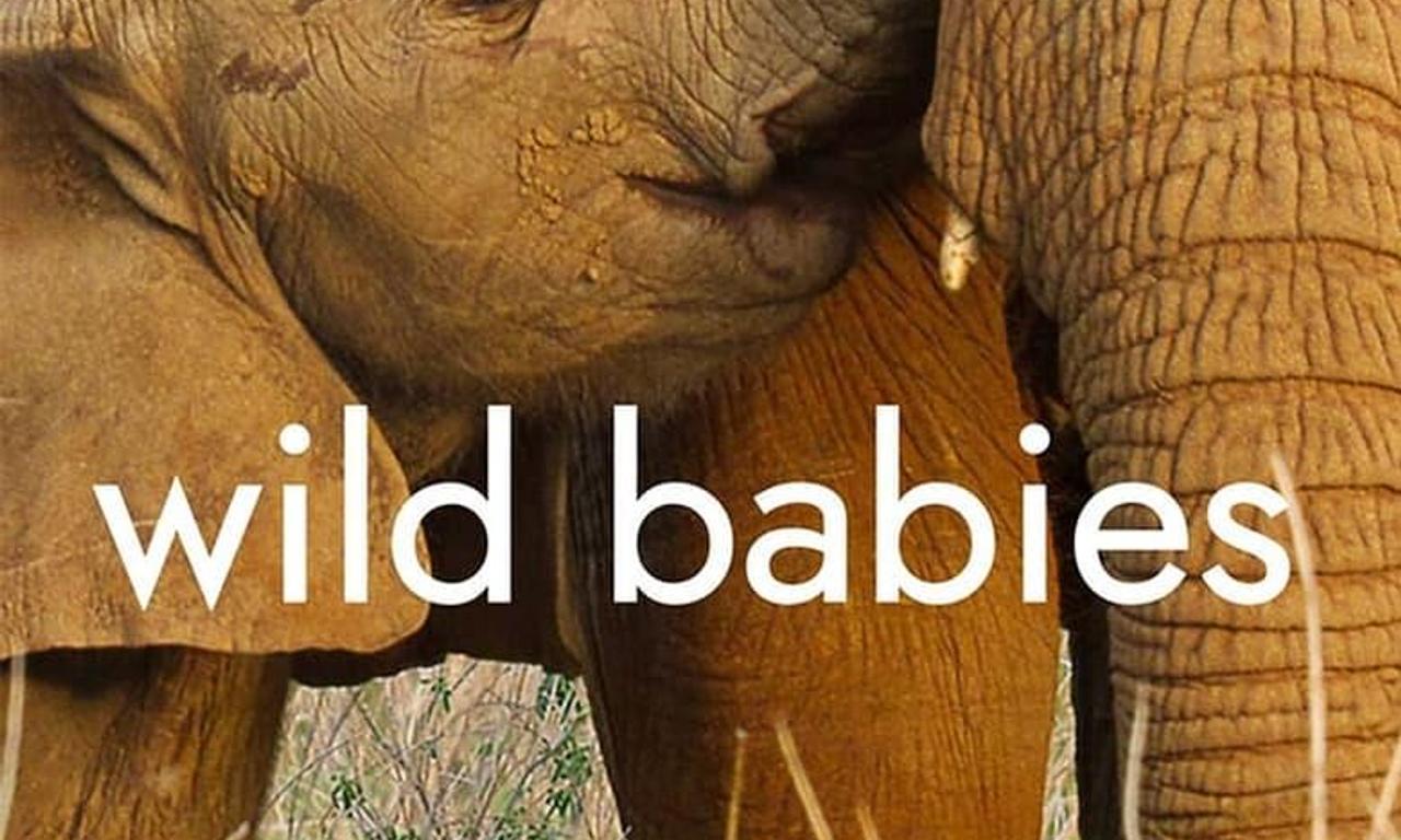 Wild Babies - Where to Watch and Stream Online – Entertainment.ie