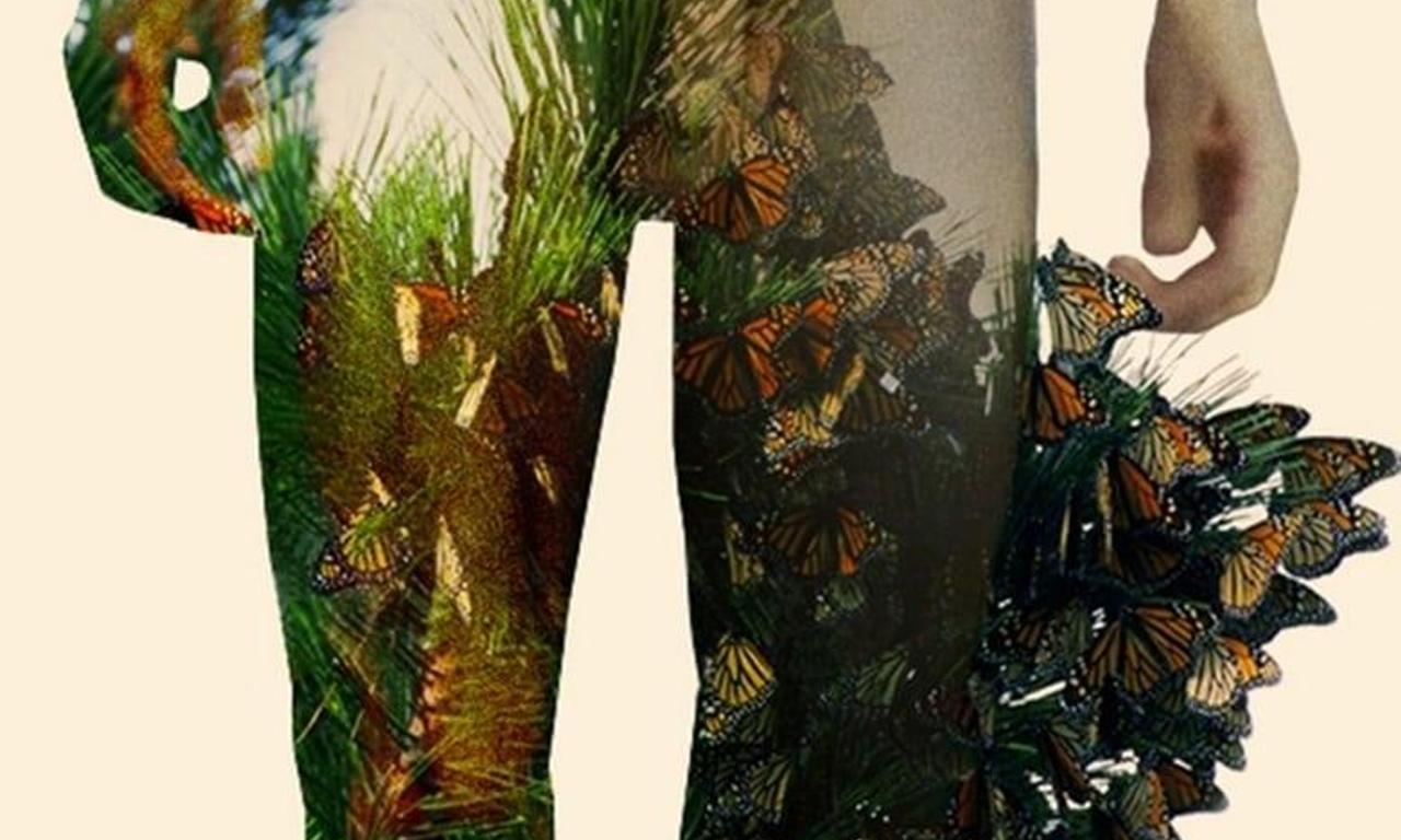 Where Do You Stand Now, João Pedro Rodrigues? - Where to Watch and ...