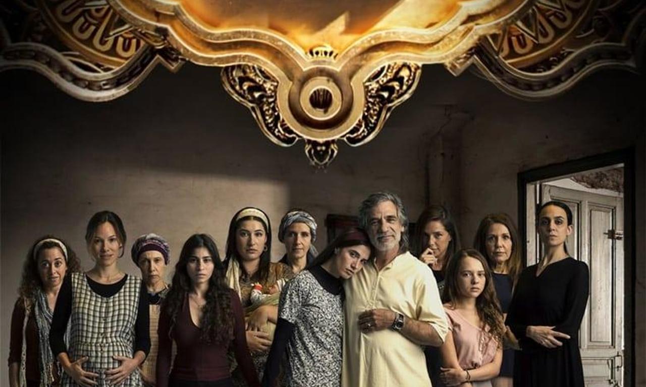 Harem - Where to Watch and Stream Online – Entertainment.ie