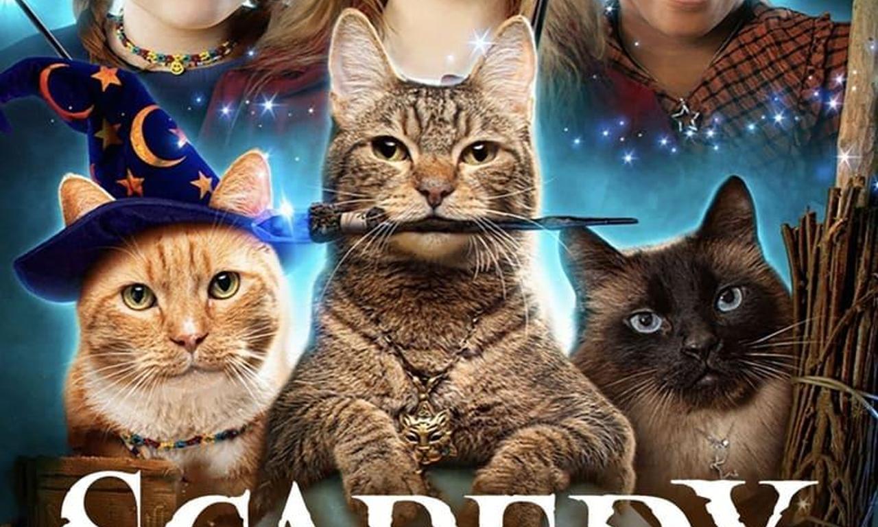 Scaredy Cats - Where to Watch and Stream Online – Entertainment.ie