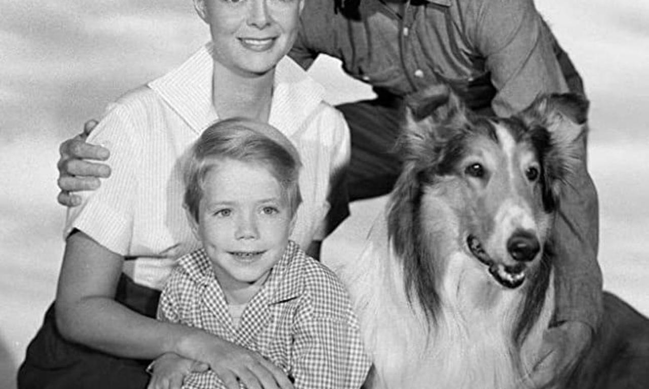 Lassie - Where to Watch and Stream Online – Entertainment.ie