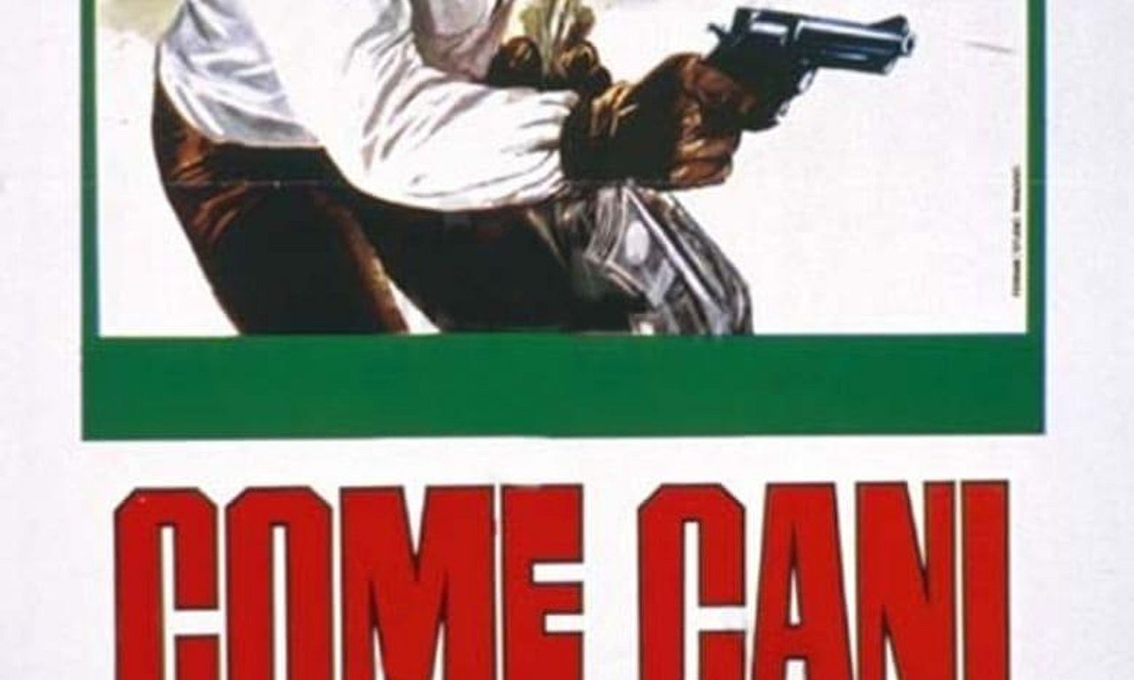 Like Rabid Dogs - Where to Watch and Stream Online – Entertainment.ie