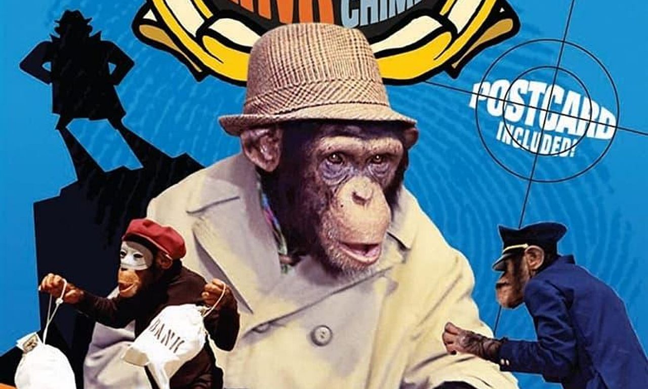 Lancelot Link, Secret Chimp - Where to Watch and Stream Online ...