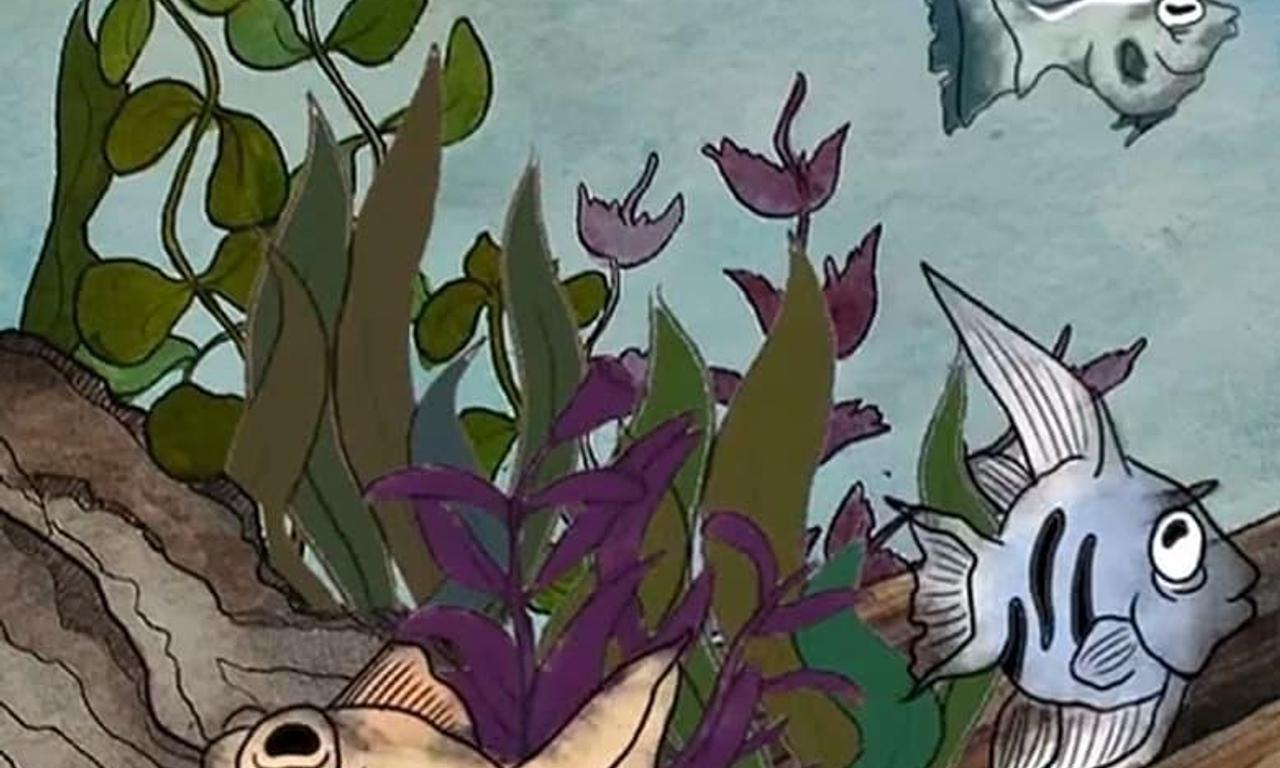 Fish Juice - Where to Watch and Stream Online – Entertainment.ie