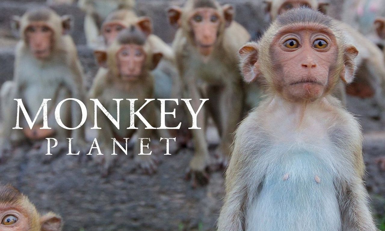 Monkey Planet - Where to Watch and Stream Online – Entertainment.ie