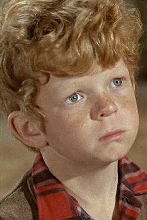 Johnny Whitaker - About - Entertainment.ie