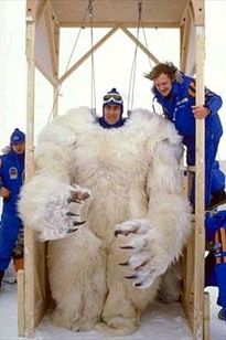 Star Wars: Episode V - The Empire Strikes Back - Where to Watch and ...