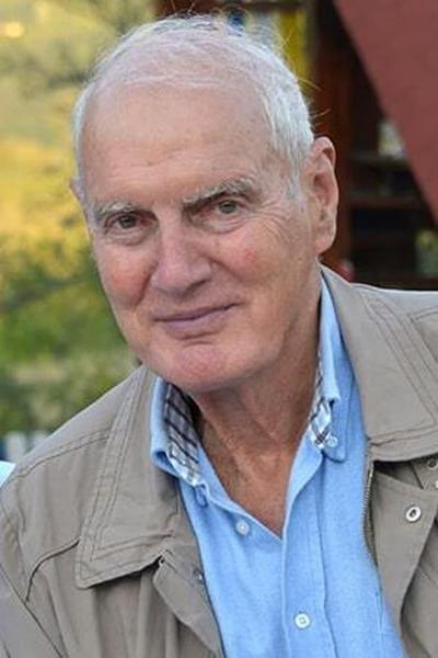 Siniša Pavić - About - Entertainment.ie