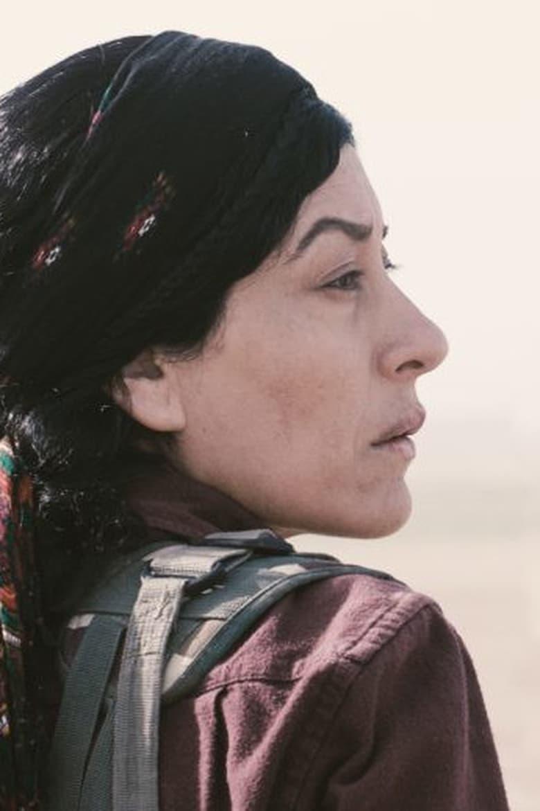 Dijle Arjîn - About - Entertainment.ie