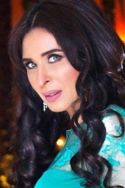 Dina - About - Entertainment.ie