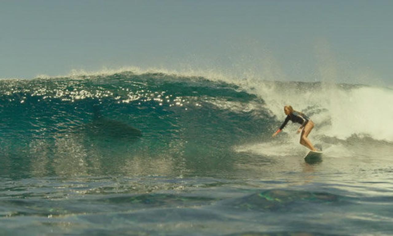 The Shallows movie clip - The Attack