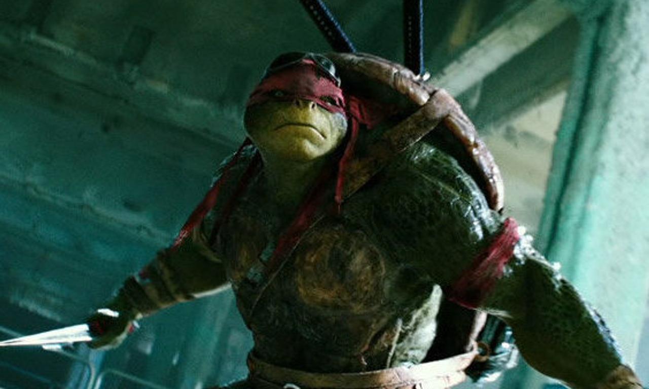 Exclusive: Watch - #TurtleTuesday: Meet Raphael