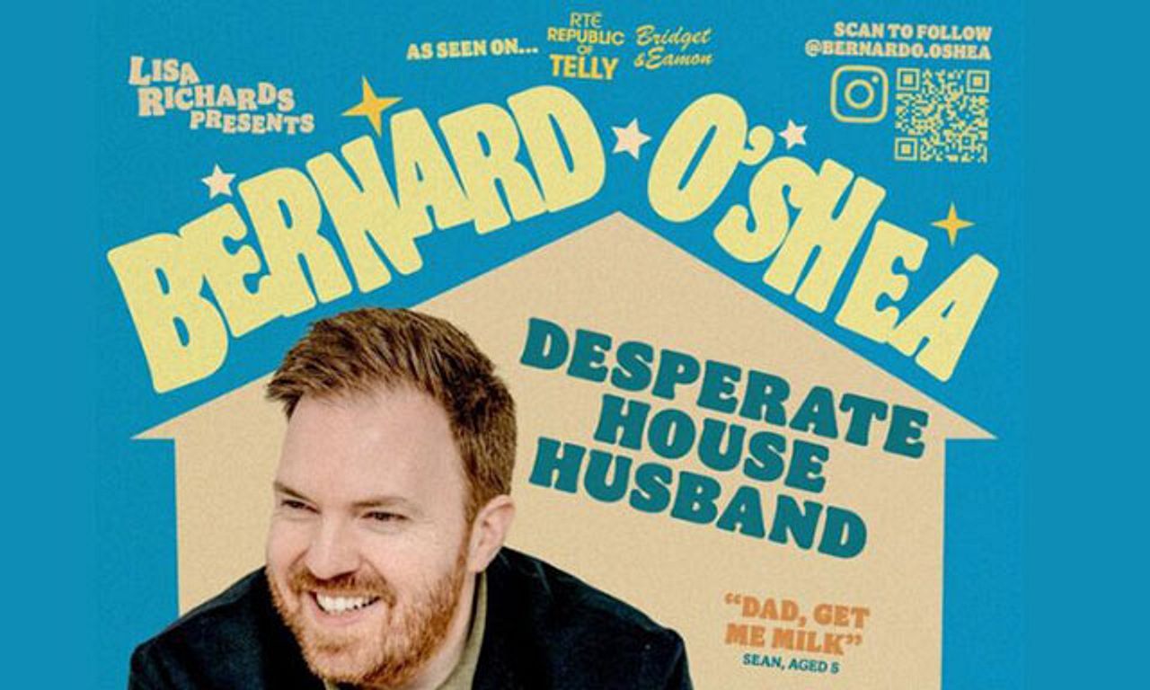 Bernard O'Shea: Desperate House Husband at Civic Theatre - 13th ...