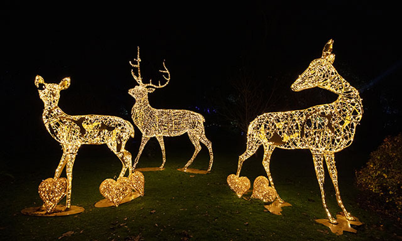 Wonderlights 2025 at Fota House, Arboretum and Gardens - 4th December ...