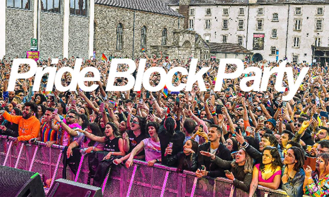 Mother Pride Block Party 2024 at National Museum of Ireland, Collins ...