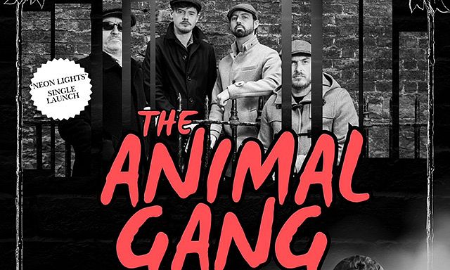 The Animal Gang at Thomas House - 8th November 2025 - Entertainment.ie