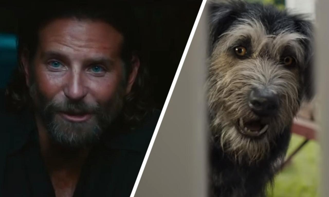 Here's the 'Lady & The Tramp'/'A Star Is Born' mash-up that you didn't ...
