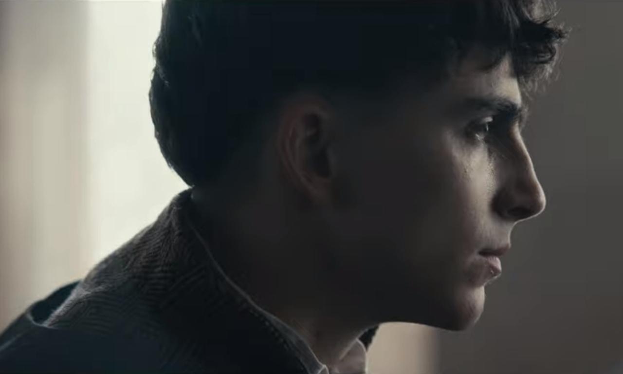 Timothée Chalamet goes medieval in first trailer for Netflix's 'The King'