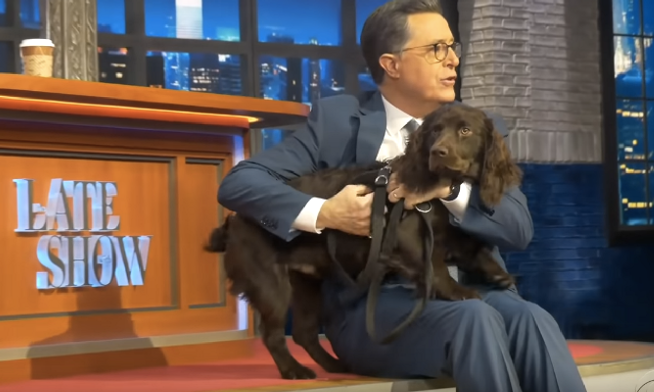 Enjoy this montage of Stephen Colbert's desperately cute dog on set