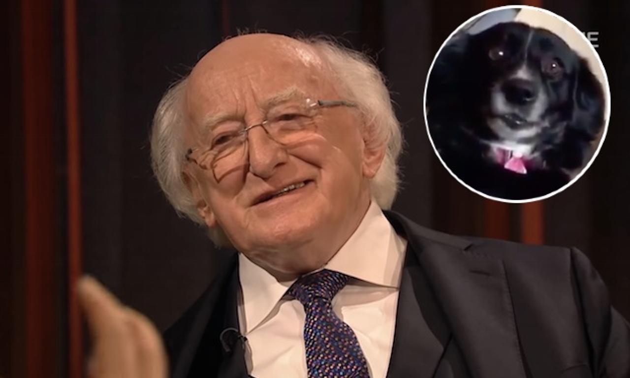Here's a dog that looks like Michael D. Higgins to brighten up your ...