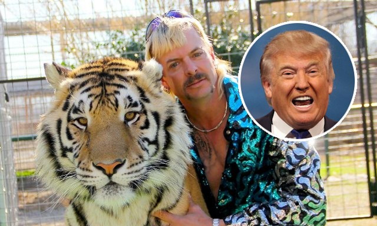 'Tiger King' star Joe Exotic is to ask for Donald Trump's pardon