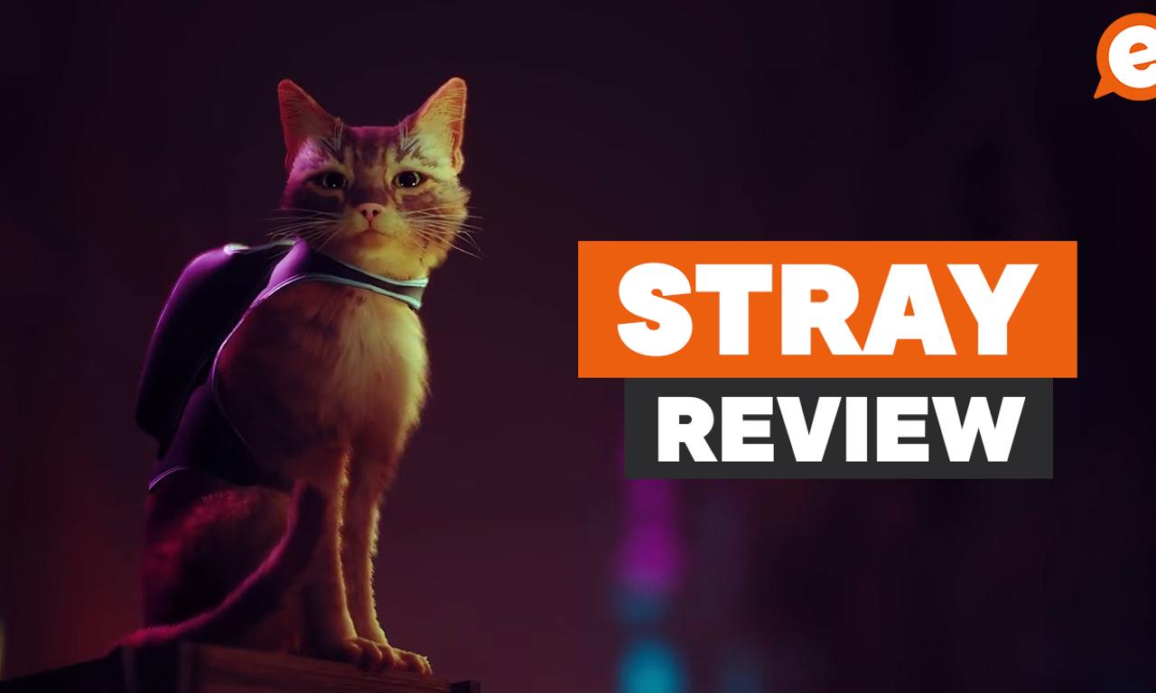 'Stray' pushes gaming forward as an art form